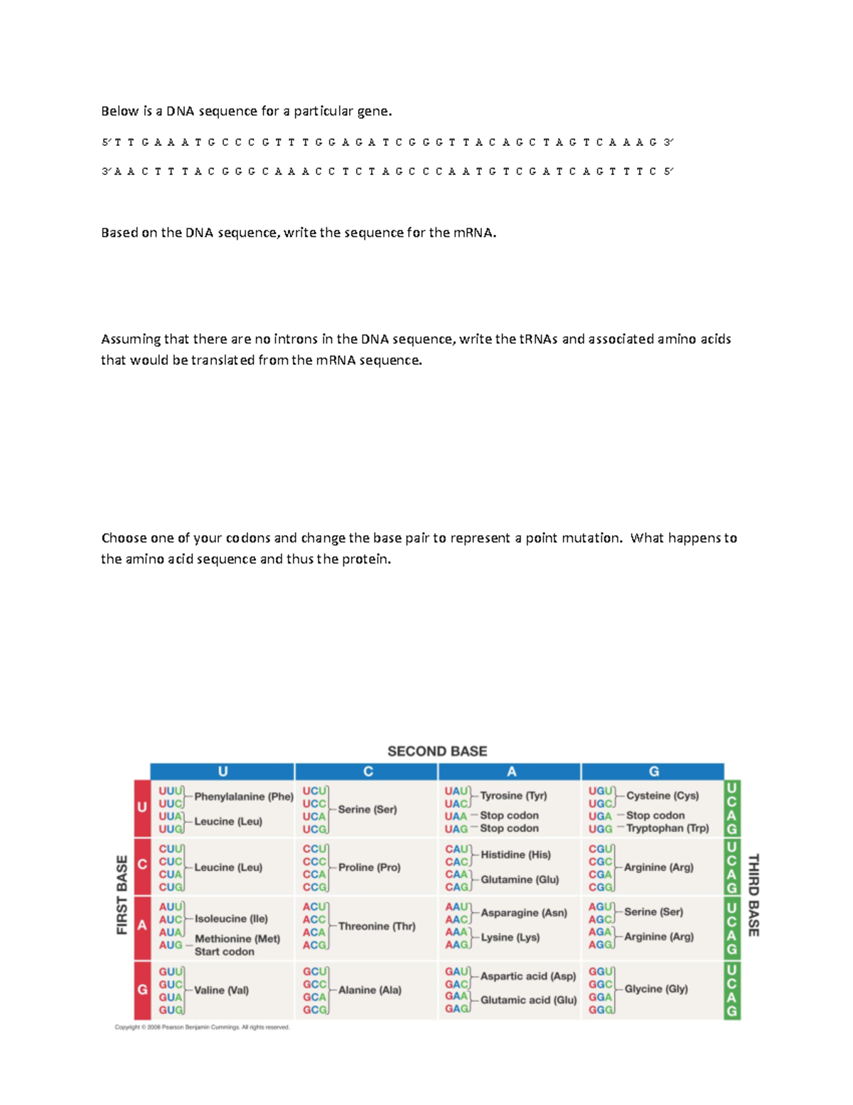 Protein synthesis problem - Below is a DNA sequence for a particular ...
