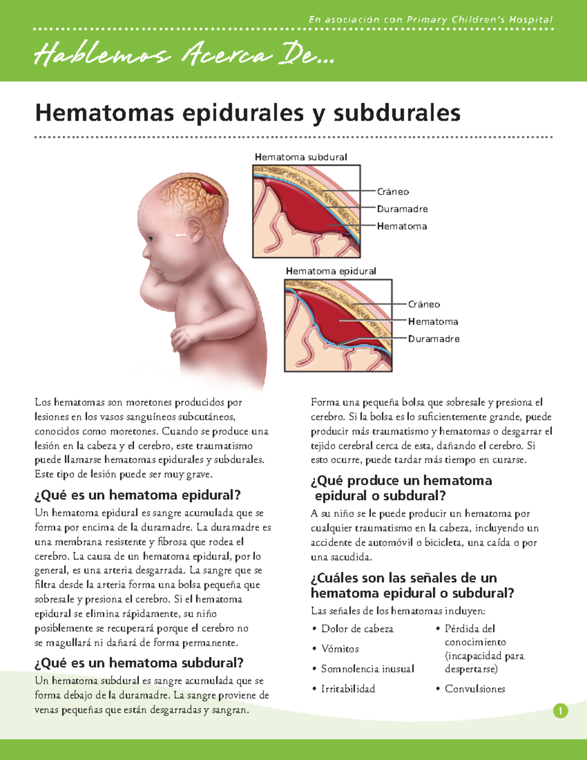 Epidural And Subdural Hematoma (Let's Talk About.. Pediatric Brochure ...