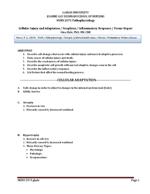 NURS 2373 Integumentary Student Version Shackelford) - Warning: TT: undefined function: 32 ...