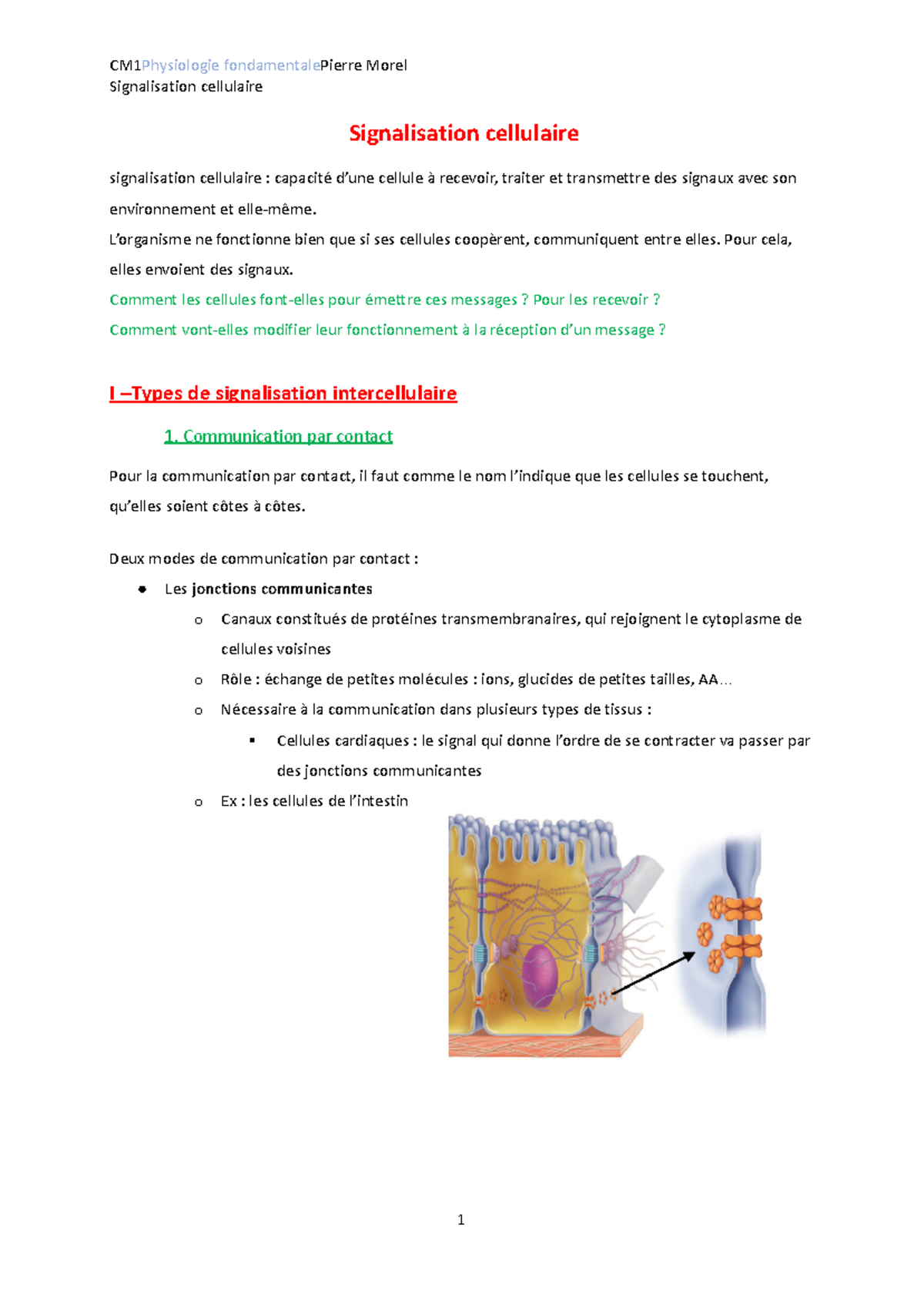 CM1 - Signalisation cellulaire - Signalisation cellulaire Signalisation ...