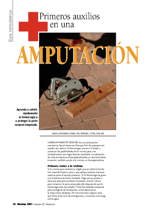 PDF Equipos Mutidisciplinarios - LOS EQUIPOS INTERDISCIPLlNARIOS Lic. Roxana Pizarro AgUllar ...