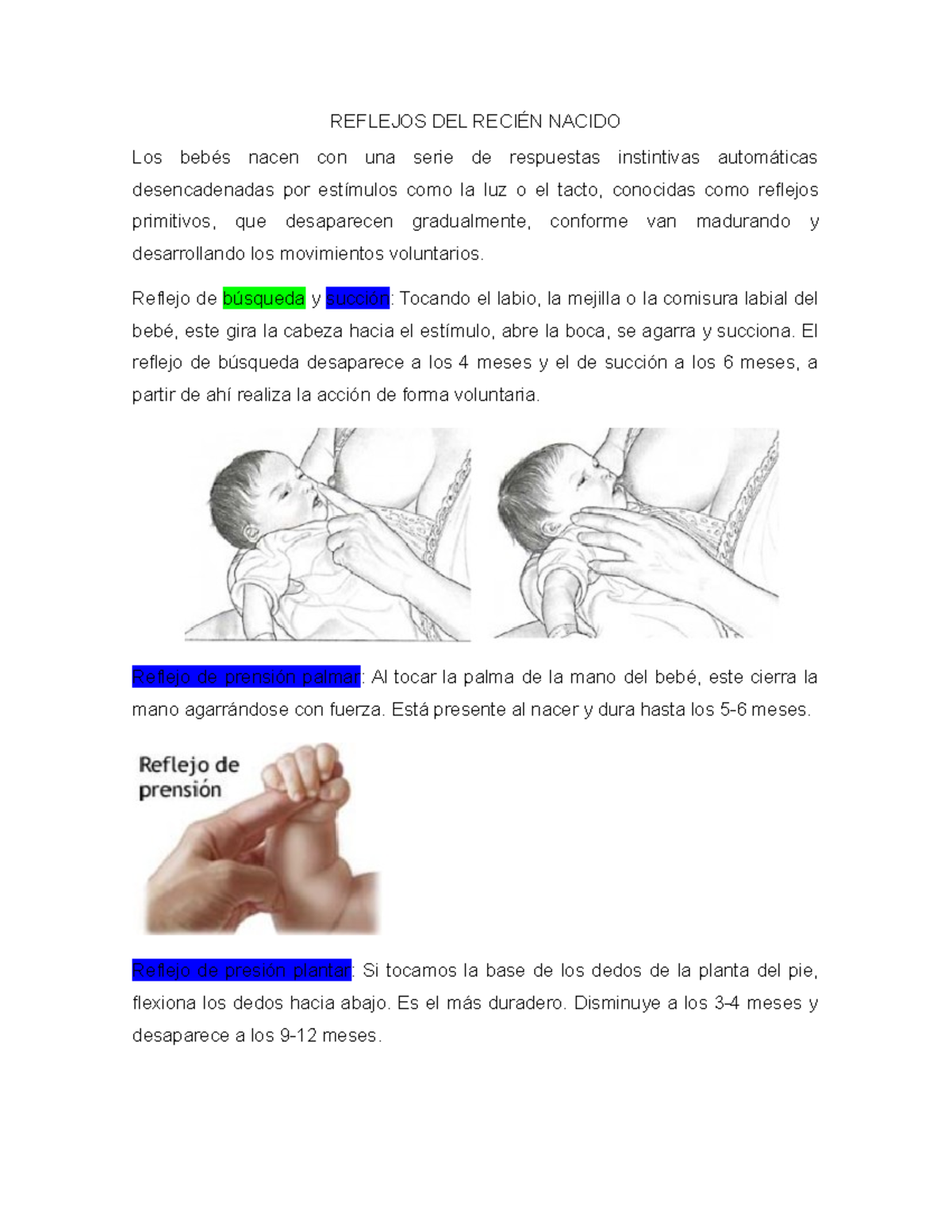 Reflejos en el recién nacido - REFLEJOS DEL RECIÉN NACIDO Los bebés ...