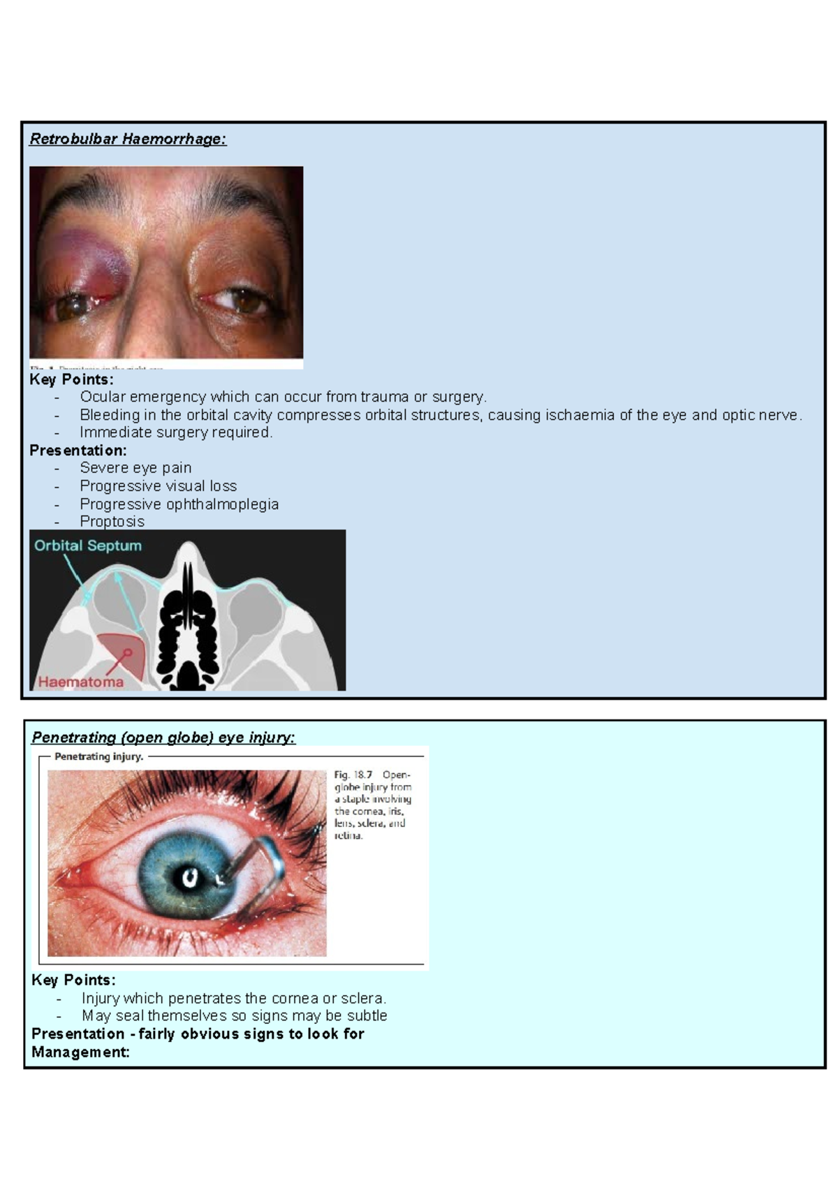 Eye Trauma Pathology - Lecture notes Year 4 Opthalmology - Retrobulbar ...