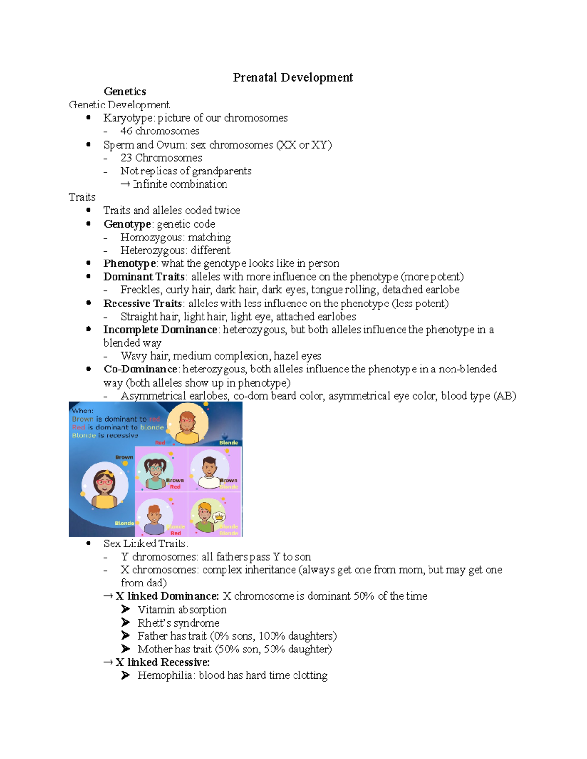Prenatal Development - Lecture notes - Prenatal Development Genetics ...