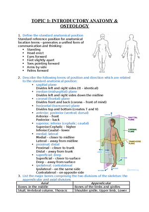 Basic Anatomical Terminology - 1 the standard anatomical position The ...