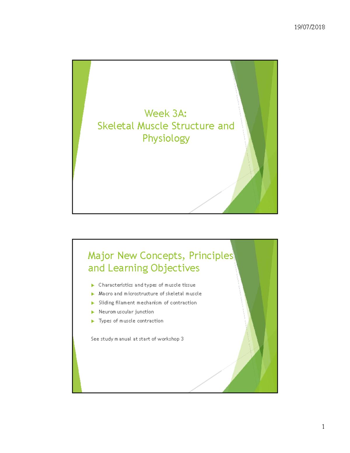 Week 3A Skeletal Muscle Structure and Function - Week 3A: Skeletal ...