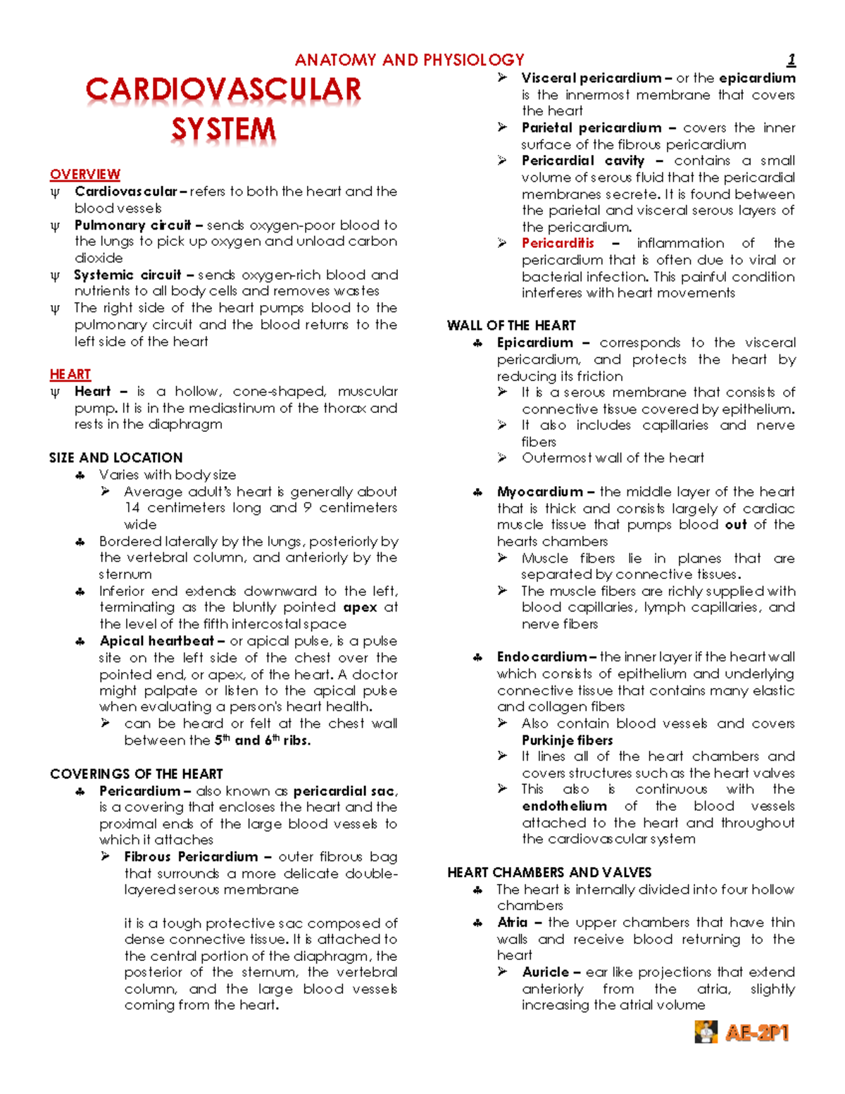 Hole's Human Anatomy and Physiology CH13 Cardiovascular System ...