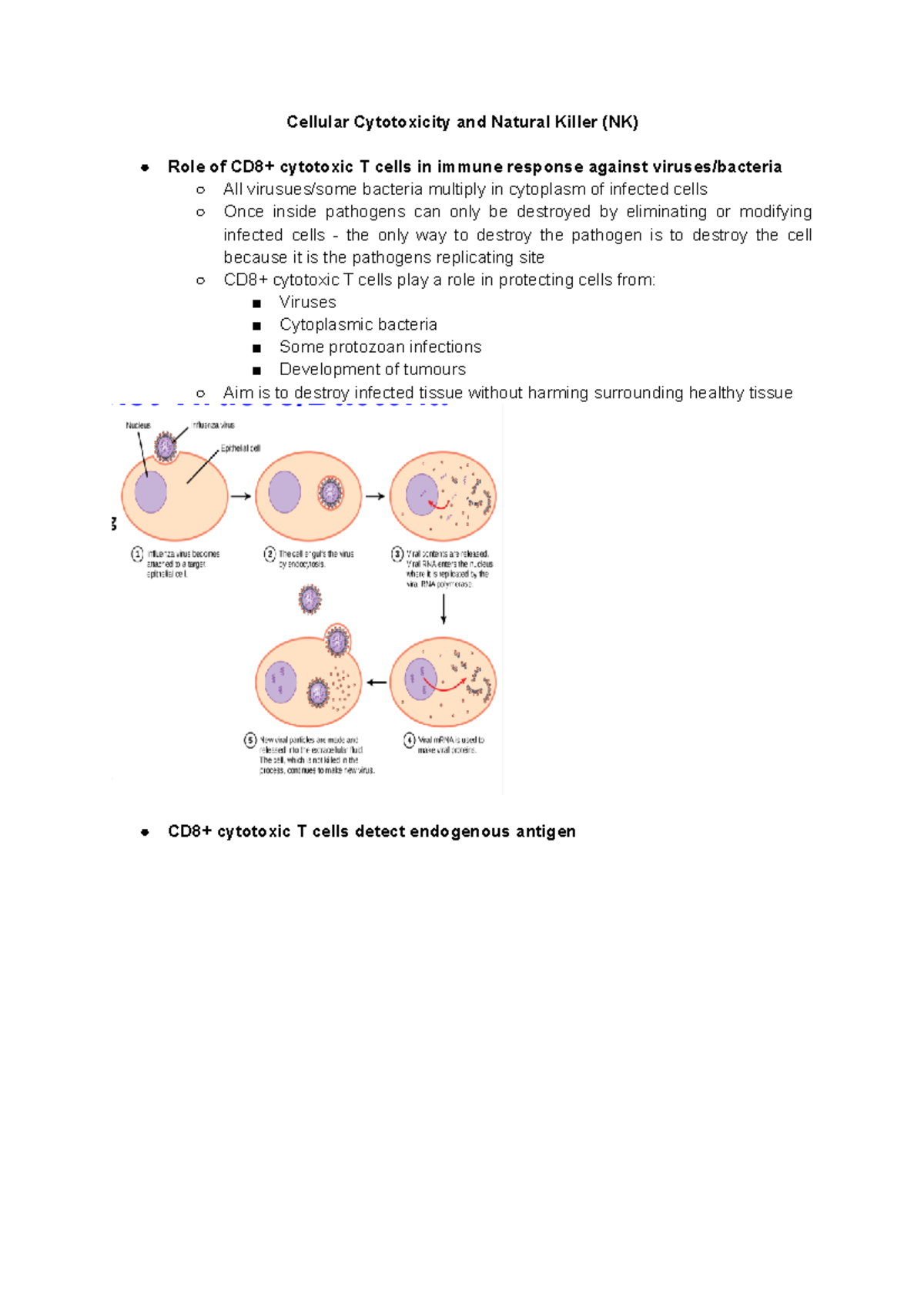 Cellular Cytotoxicity and Natural Killer (NK) - Studocu