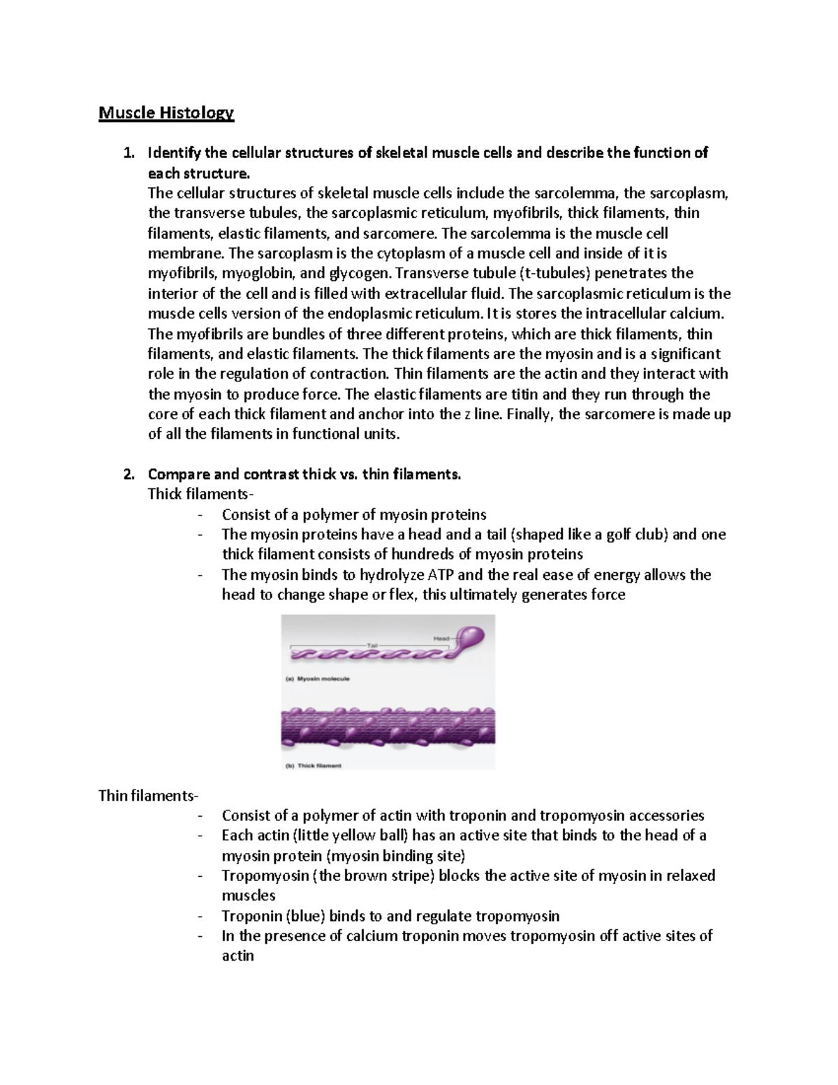 Muscle histology Exam 4 notes - Muscle Histology Identify the cellular ...