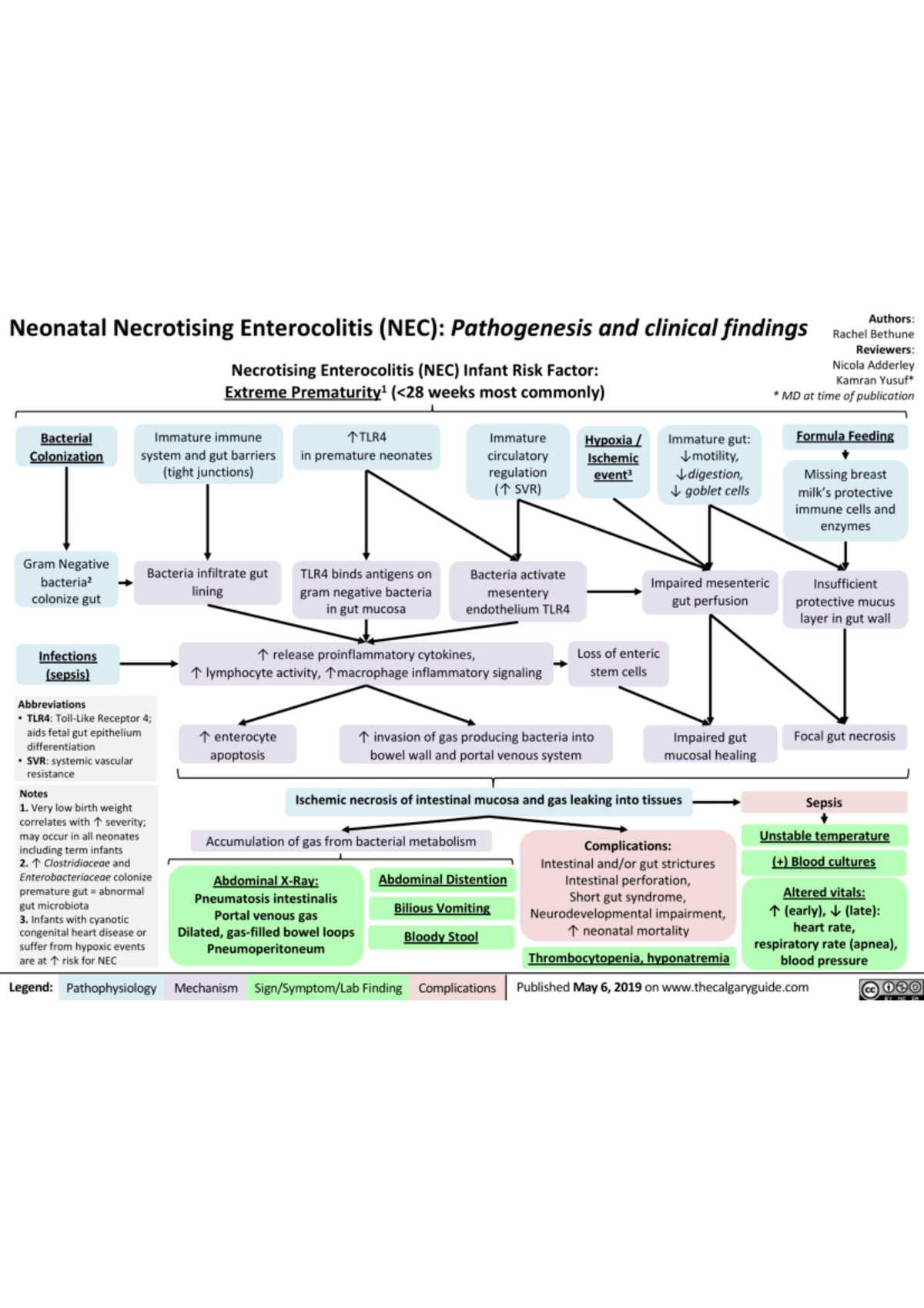 NEC Pathogenesis Clinical Findings - HLT54115 - TAFE NSW - Studocu