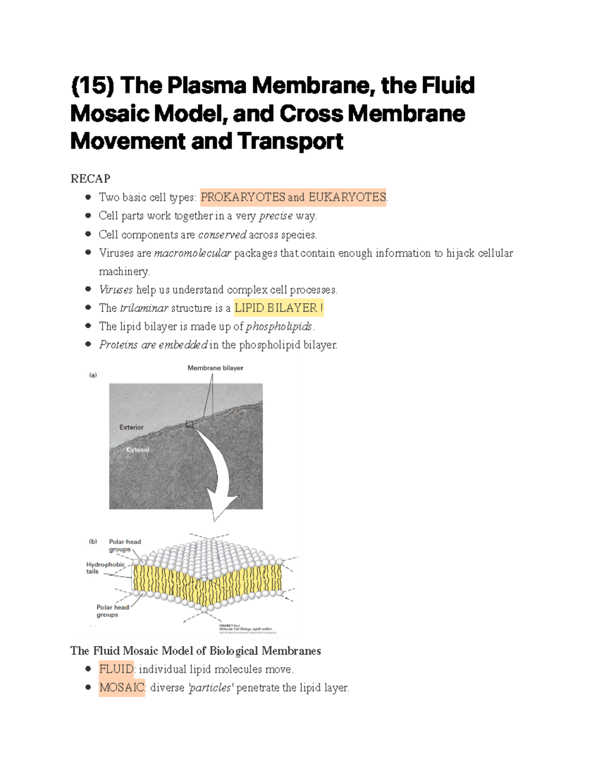 (15) The Plasma Membrane, the Fluid Mosaic Model, and Cross Membrane ...