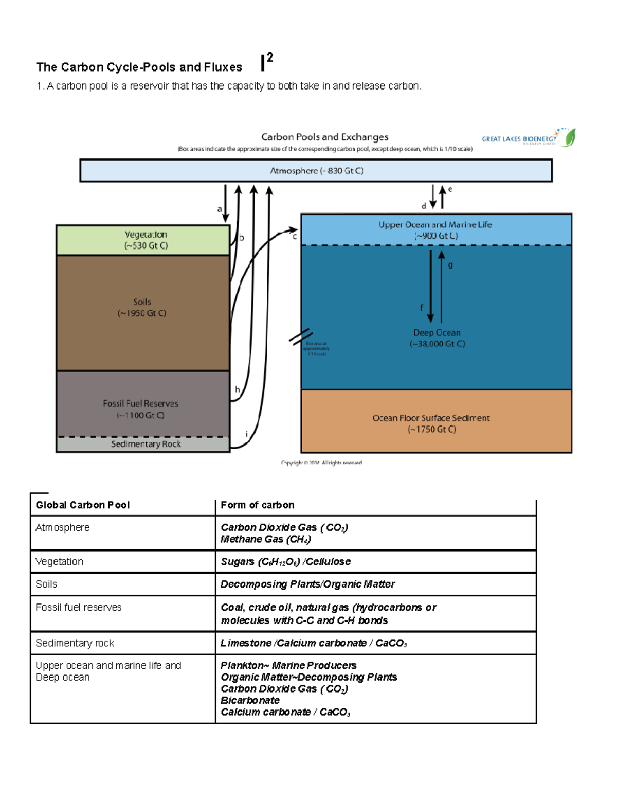 RHS Current Worksheet Carbon Model Pools and Fluxes - The Carbon Cycle ...