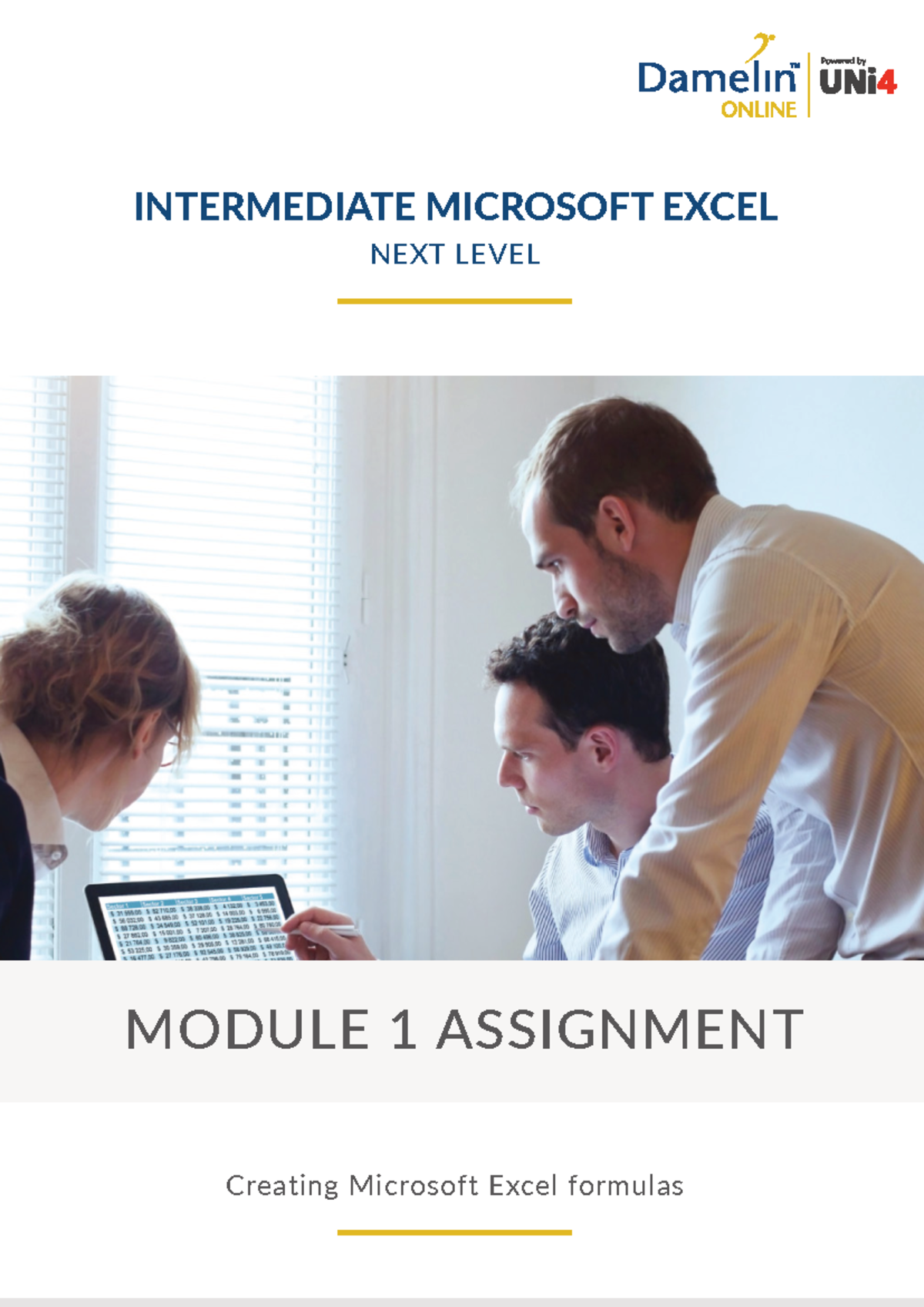 Damelin Online Excel Intermediate Next Level Assignment 1 - MODULE 1 ...