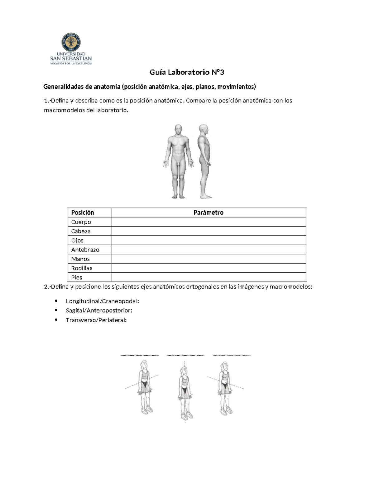 Gu a N3 DMOR0030 Generalidades Anatom A - Tagged - Guía Laboratorio N° Generalidades de anatomía ...