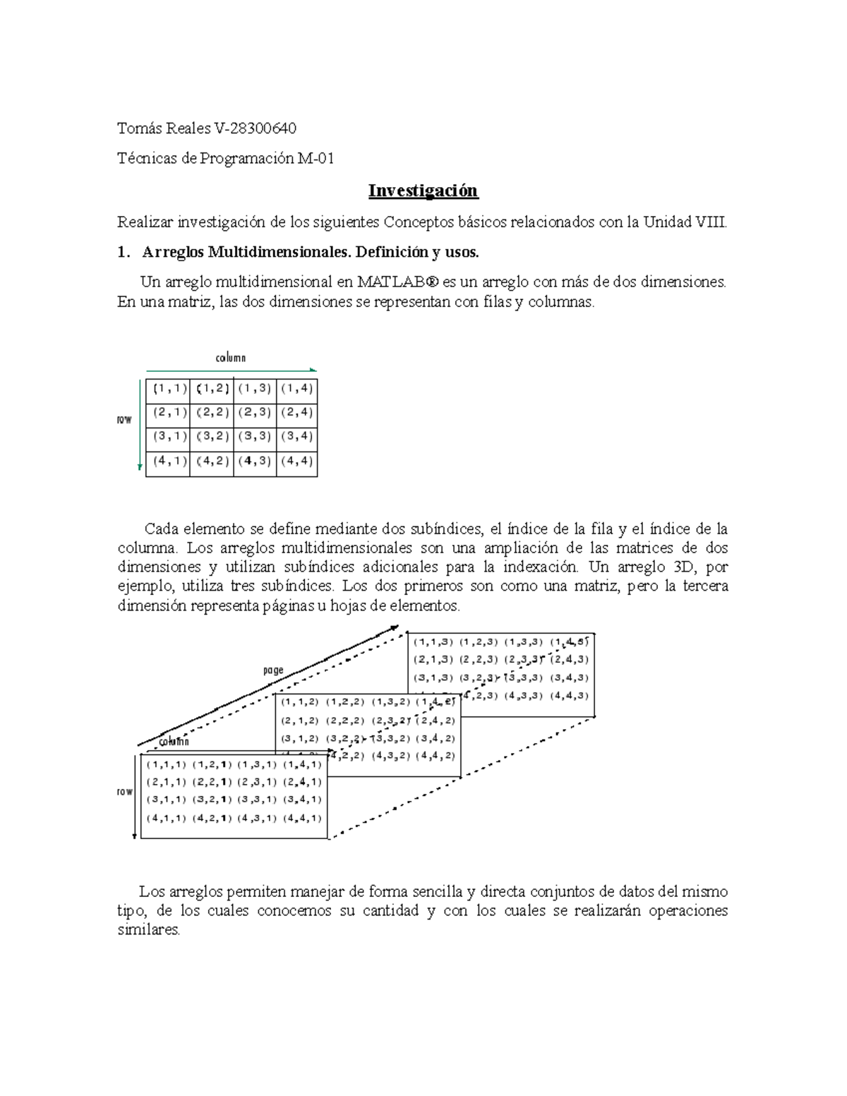 Investigacion Tecnicas de Programacion Unidad VIII - Tomás Reales V ...