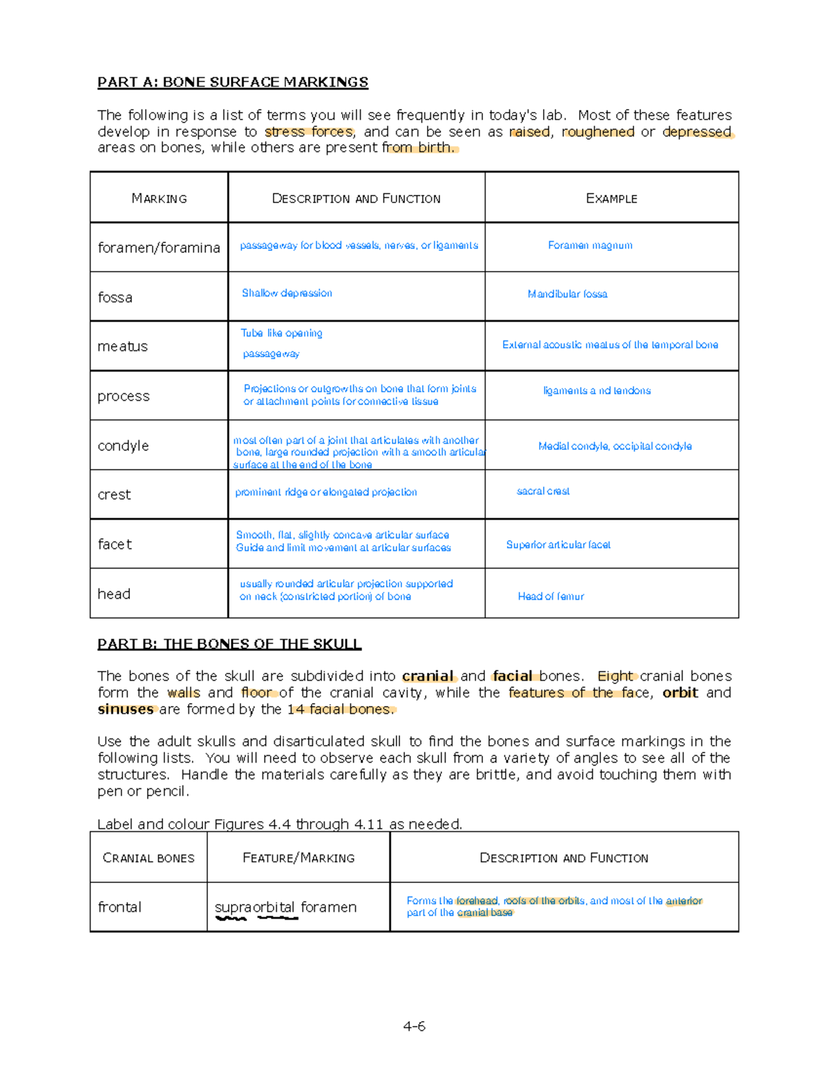 LAB 4 - Axial Skeleton 2 - Lab 4 - Answer Key - 4- PART A: BONE SURFACE ...
