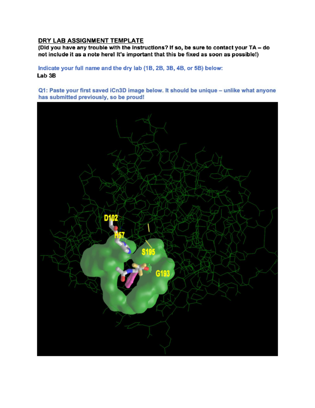 3B dry lab assignment - Lab 3B This is an iCn3D image of 6gch. Specifically, this image shows ...