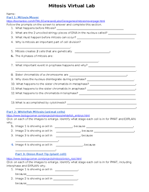 Simpsons-answers - Nice info - Simpsons Experimental Design Smithers ...