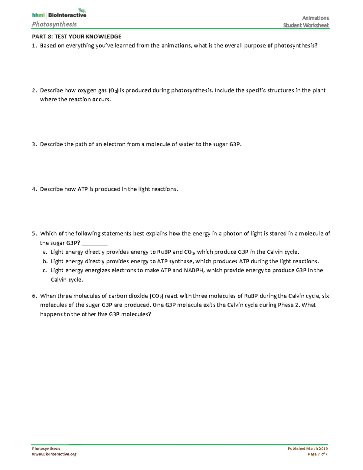 Photosynthesis Student WS Part 8 - Photosynthesis Photosynthesis ...