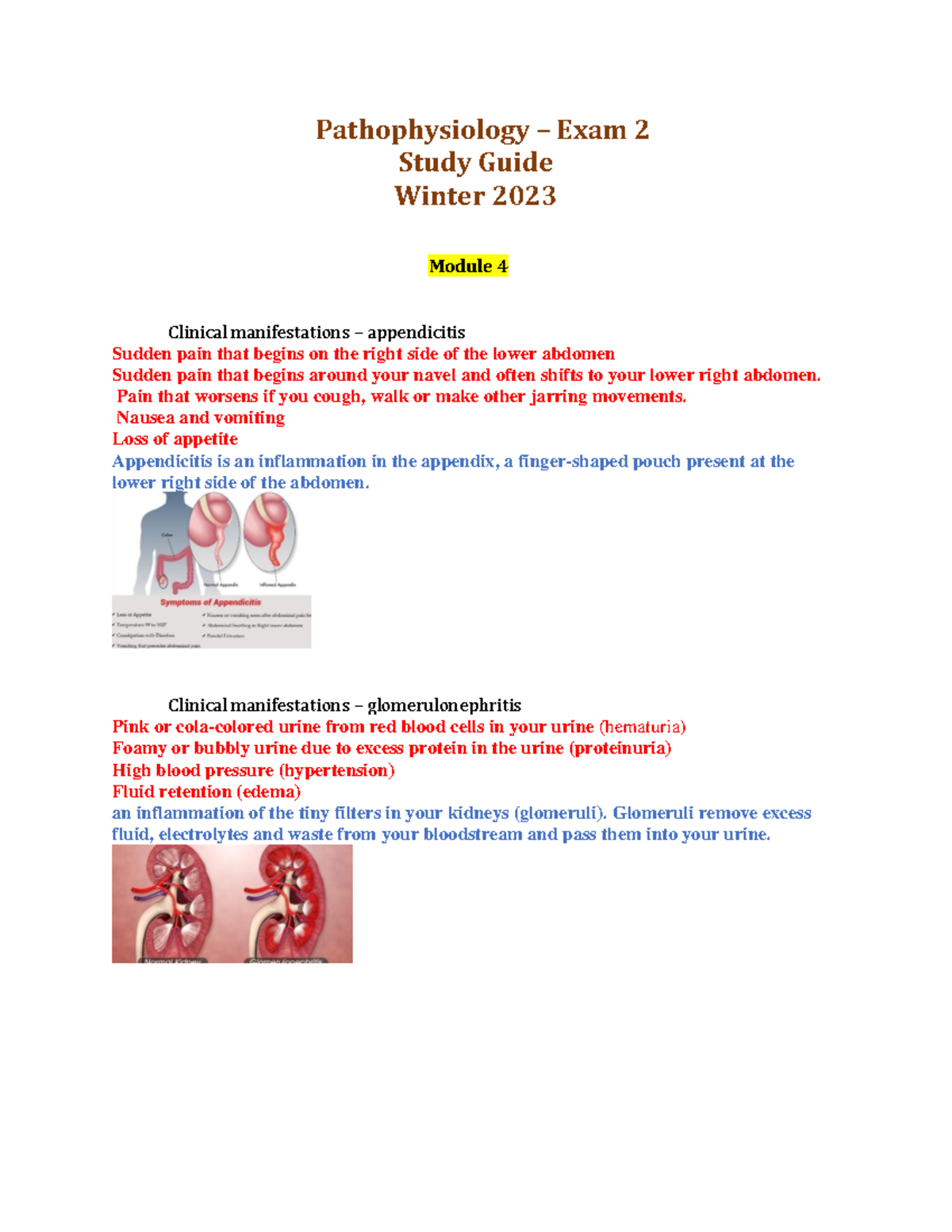 Bb Pathophysiology - Exam 2- Study Guide ( Winter 2023) - Pathophysiology – Exam 2 Study Guide ...