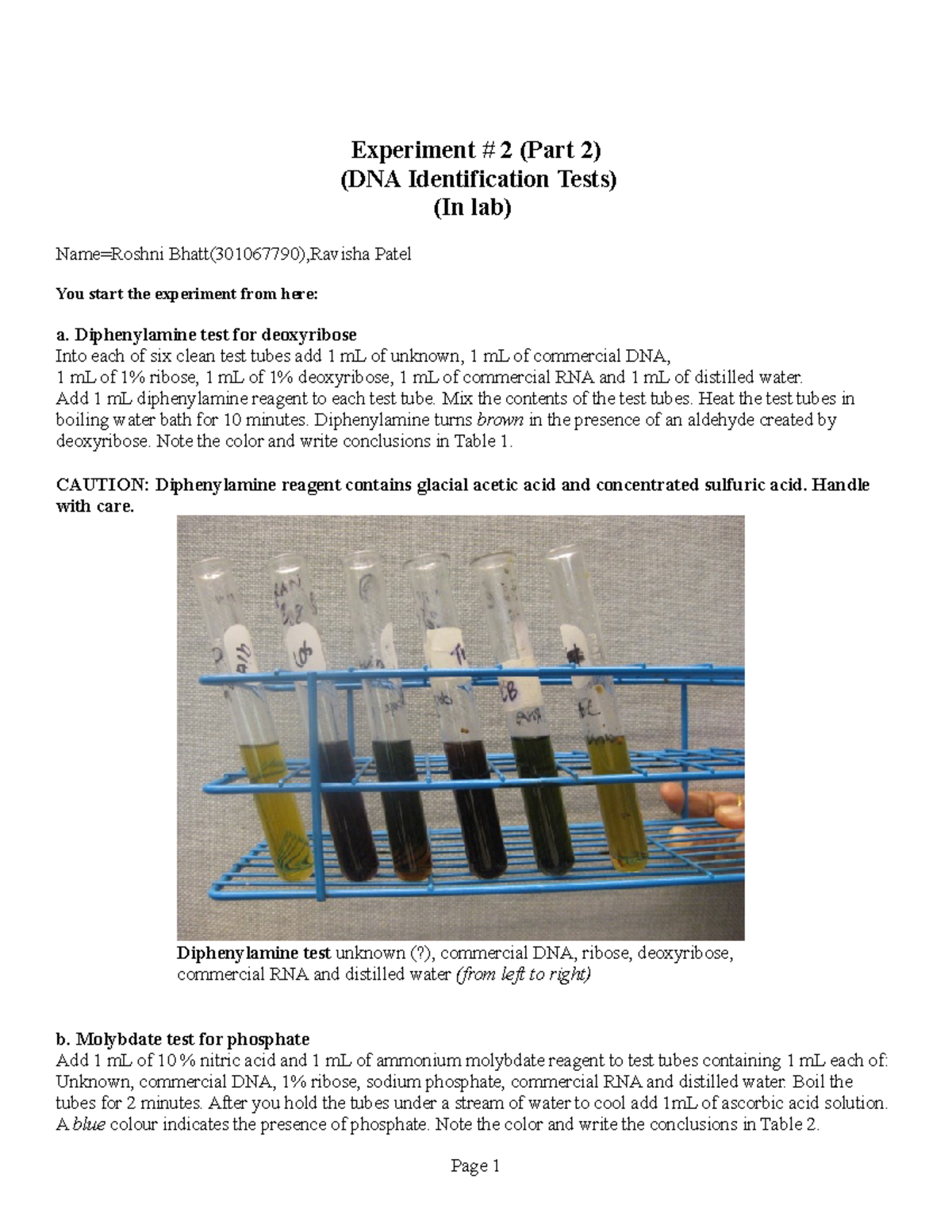 Experiemnt # 2 (Part 2) - lab report - Experiment # 2 (Part 2) (DNA ...