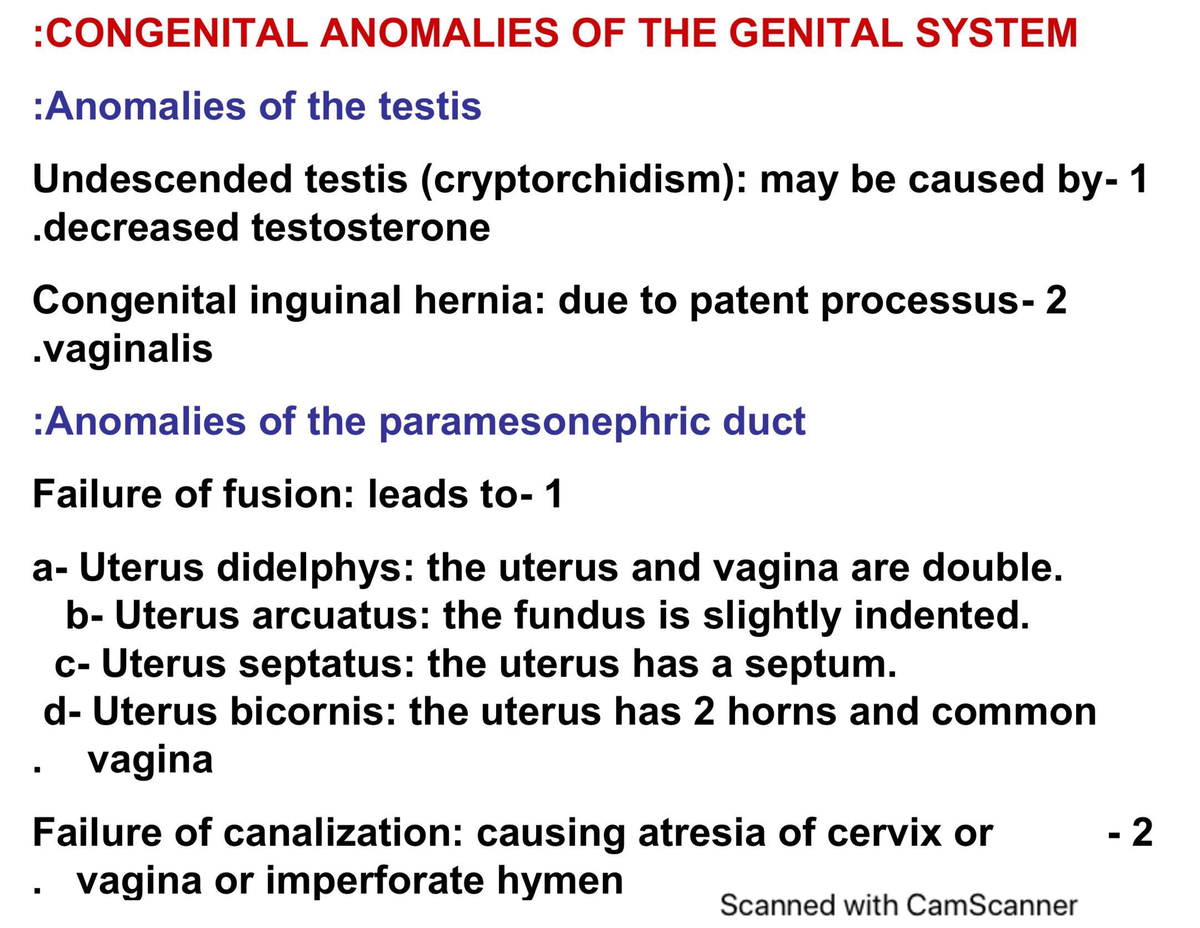 Anomalies OF THE Gental System - Anatomy 2 - Studocu