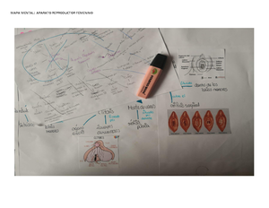 ME129 Estructura y Funcion 202102 - III. INTRODUCCIÓN El curso revisa ...