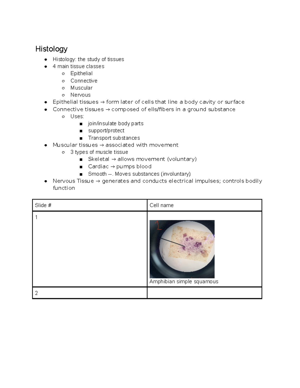Bio lab 9 study guide - Histology Histology: the study of tissues 4 ...