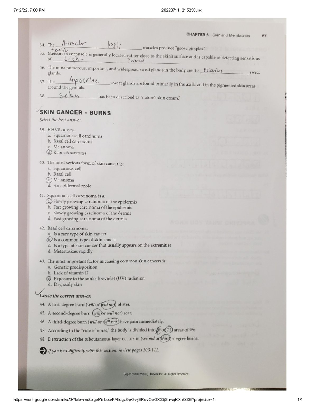 Valdez, eric AP Study Guide Ch 6 pg 57 - 7:08 PM 20220711_215258 ...