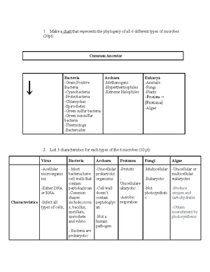 Case study Rabbit Island Experiment - The data from the experiment Dr ...