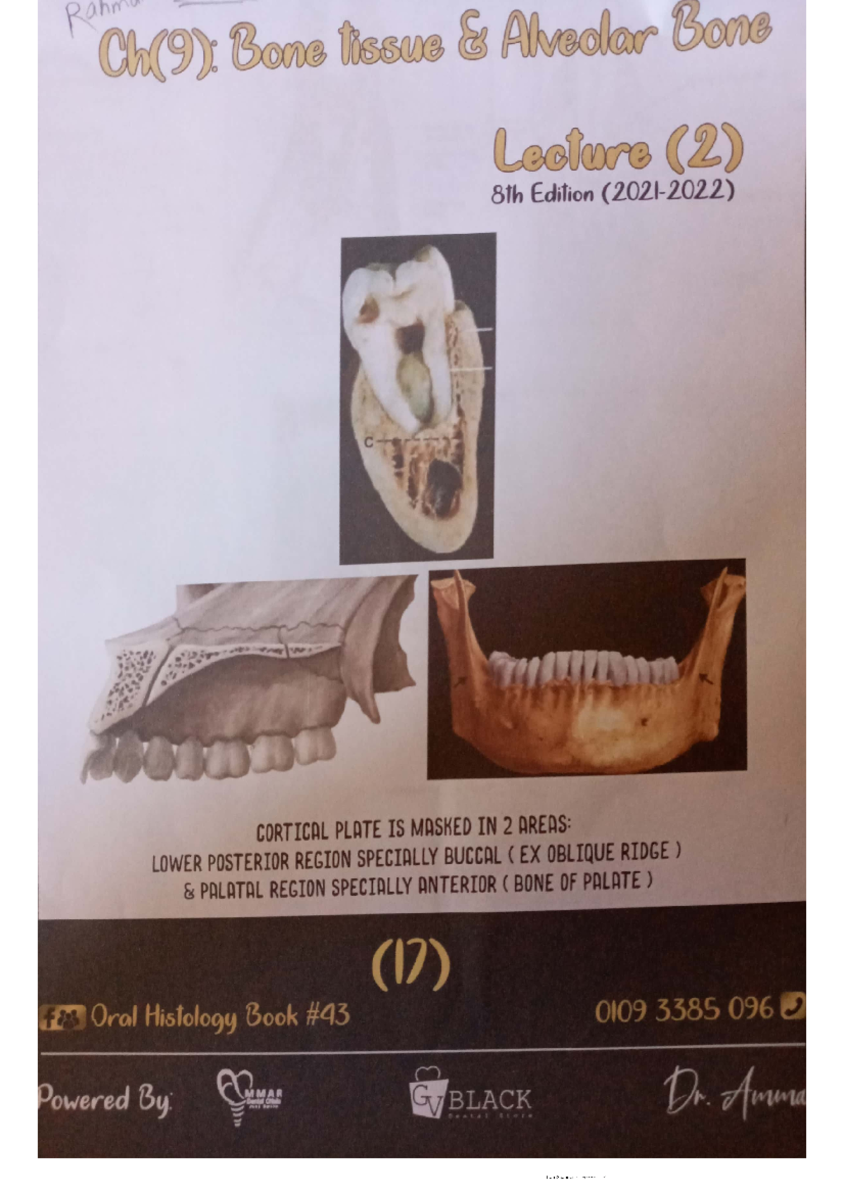 Bone 2 - Oral biology - Oral Biology I - Studocu