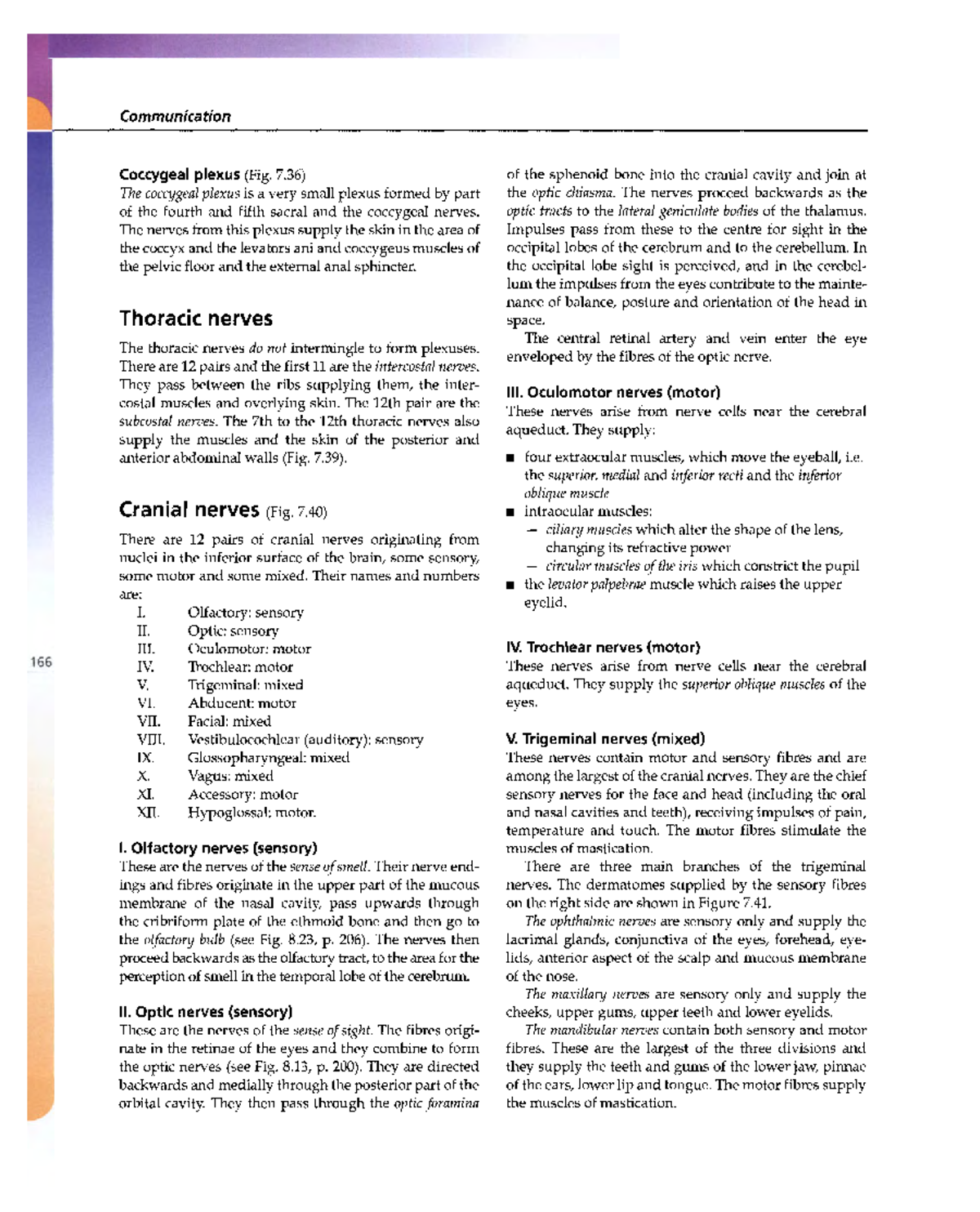 Human-Anatomy and Physiology 53 - Communication 166 Coccygeal plexus ...