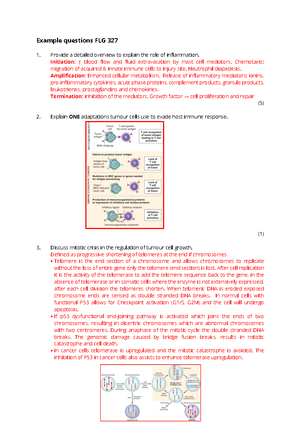 Cancer article summary - FLG 327 Cancer Published 2021; Impact factor 7 ...