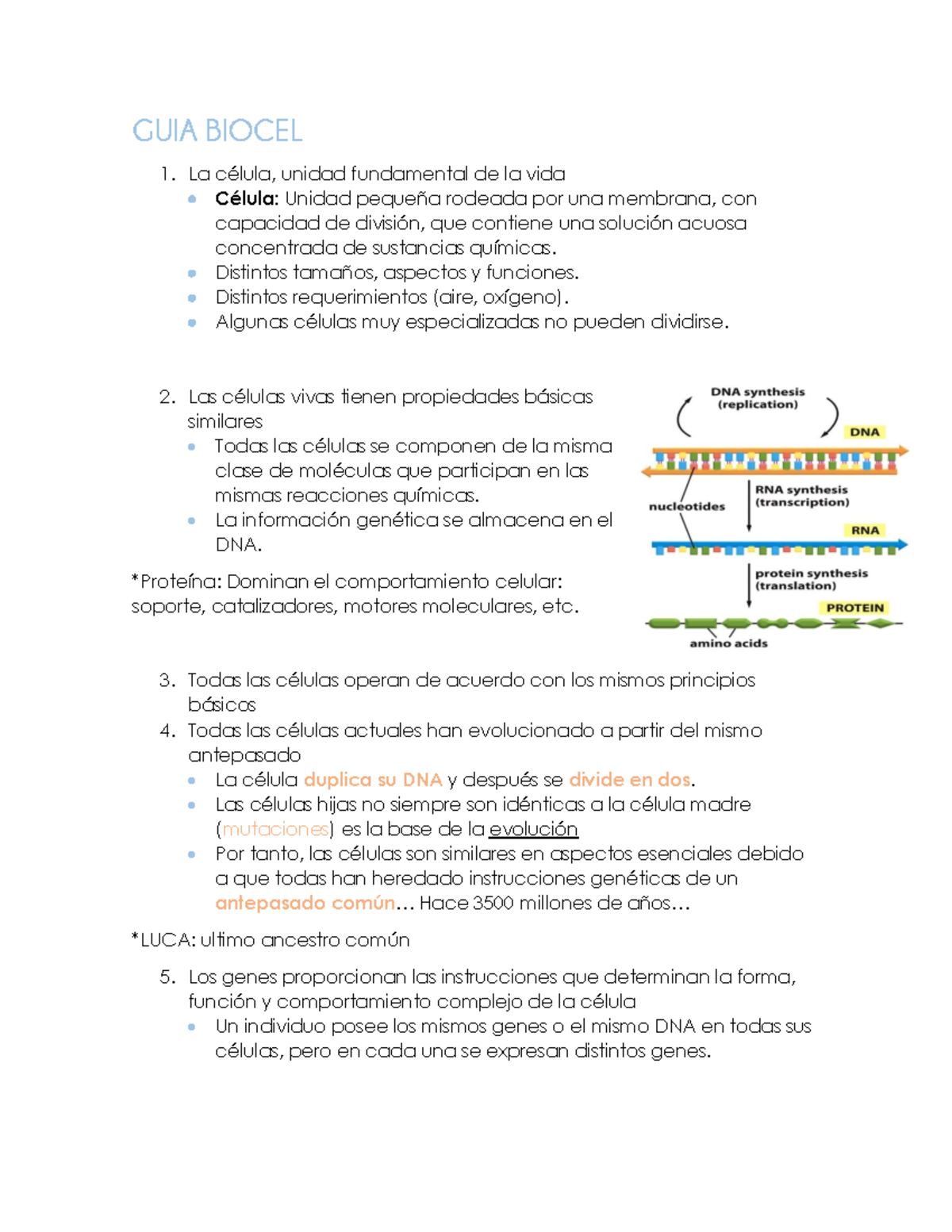 GUIA Biocel (p1) - GUIA BIOCEL La cÈlula, unidad fundamental de la vida ...