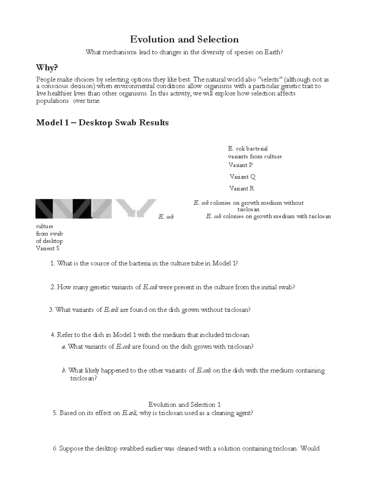 21 Evolution and Selection-S - Evolution and Selection What mechanisms ...