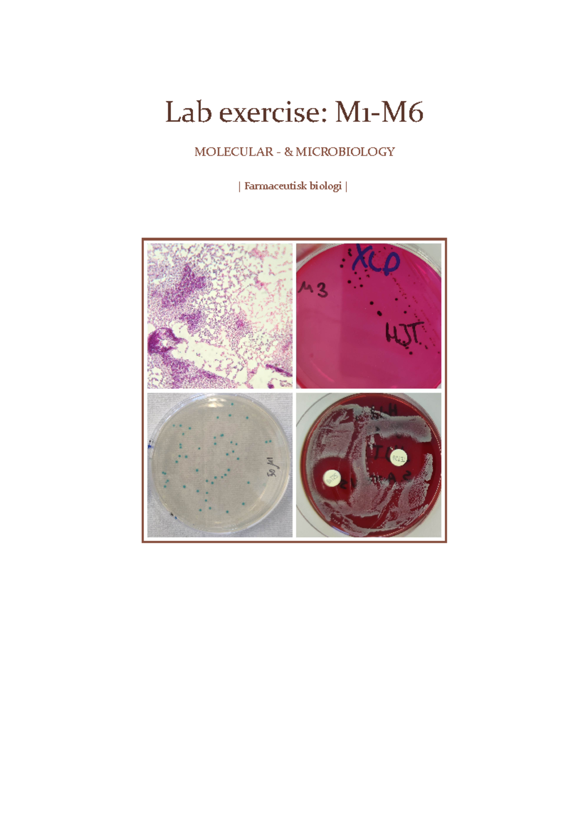 Lab exercise M1-M6 - Mikrobiologi - Lab exercise: M1-M MOLECULAR ...