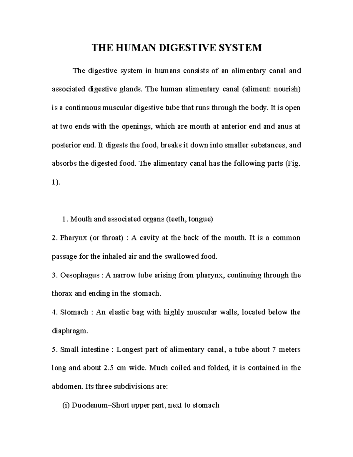 THE HUMAN DIGESTIVE SYSTEM Notes - THE HUMAN DIGESTIVE SYSTEM The ...