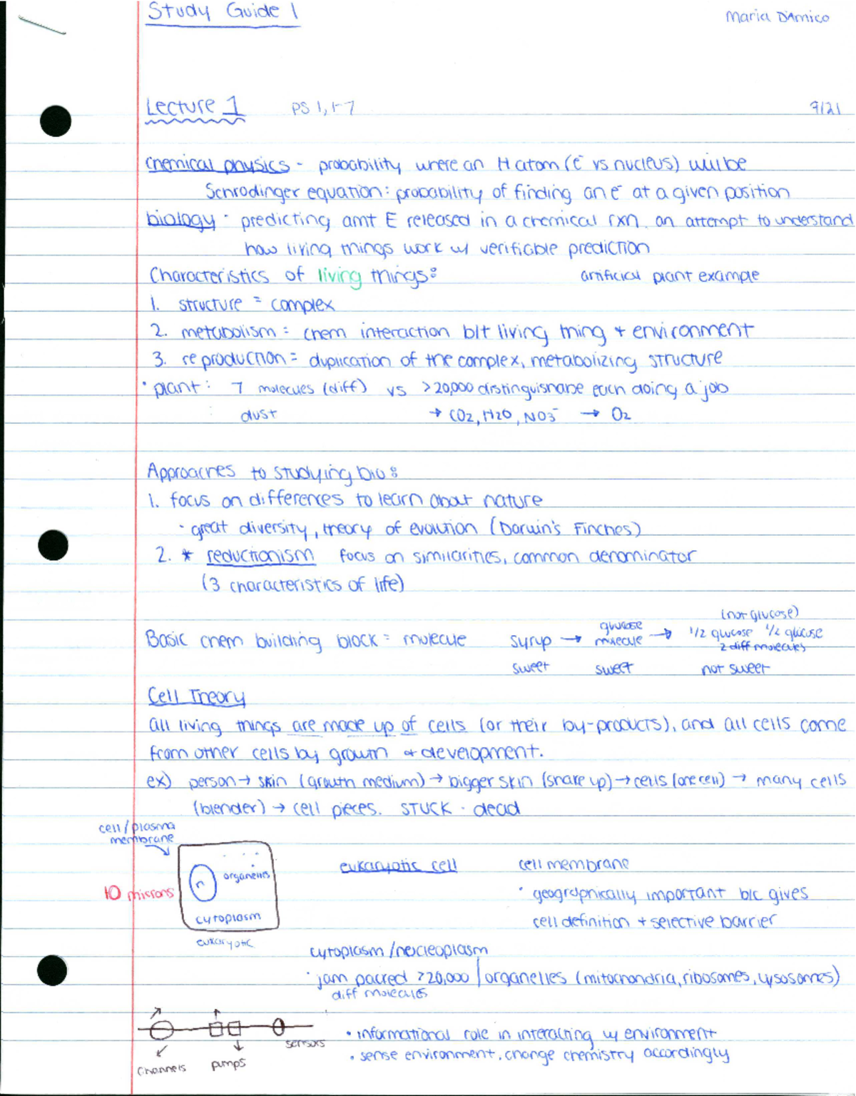 Lecture 1 & 2 Notes - Study Guide Maria DAmico Lecture PS 1,17 9121 ...