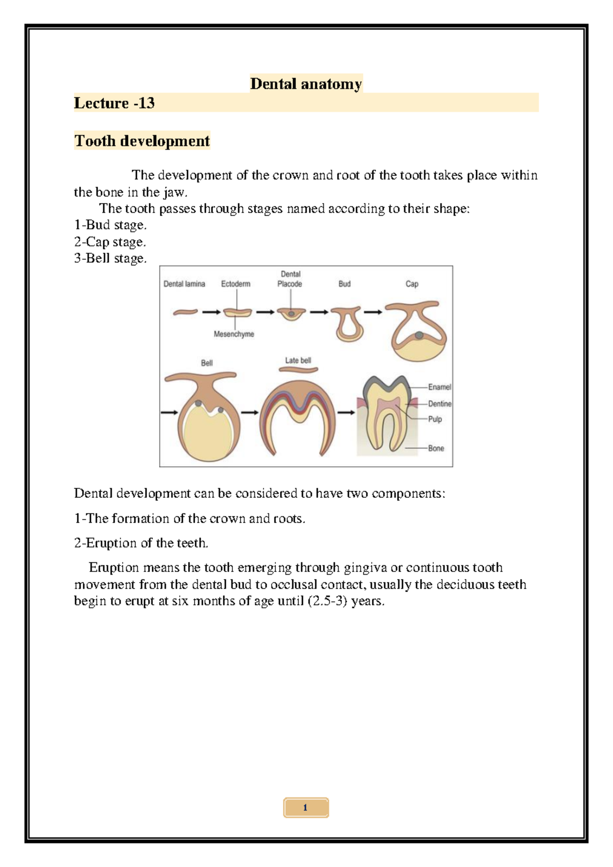Dental Anatomy - Lecture notes 1 - Dental anatomy Lecture - Tooth ...