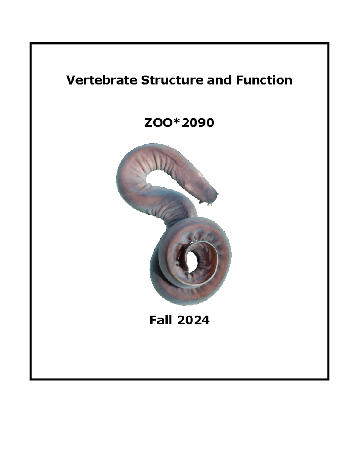 ZOO2090 Lab Manual F24 - Vertebrate Structure and Function ZOO* 2090 Fall 202 4 VERTEBRATE ...
