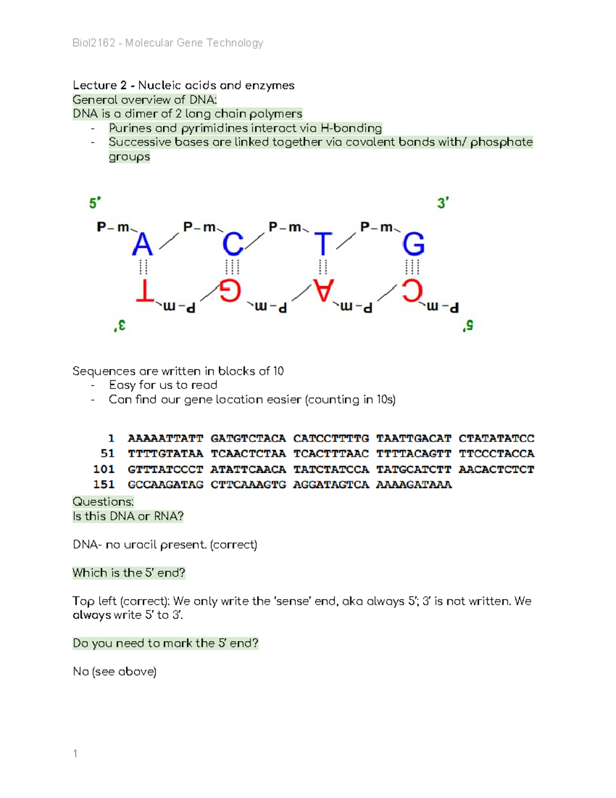 Biol2162 notes - Lecture 2 - Nucleic acids and enzymes General overview ...