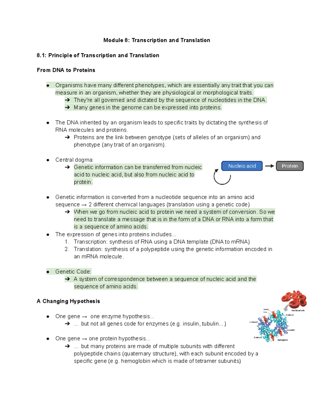 Module 8 Transcription and translation - Module 8: Transcription and ...