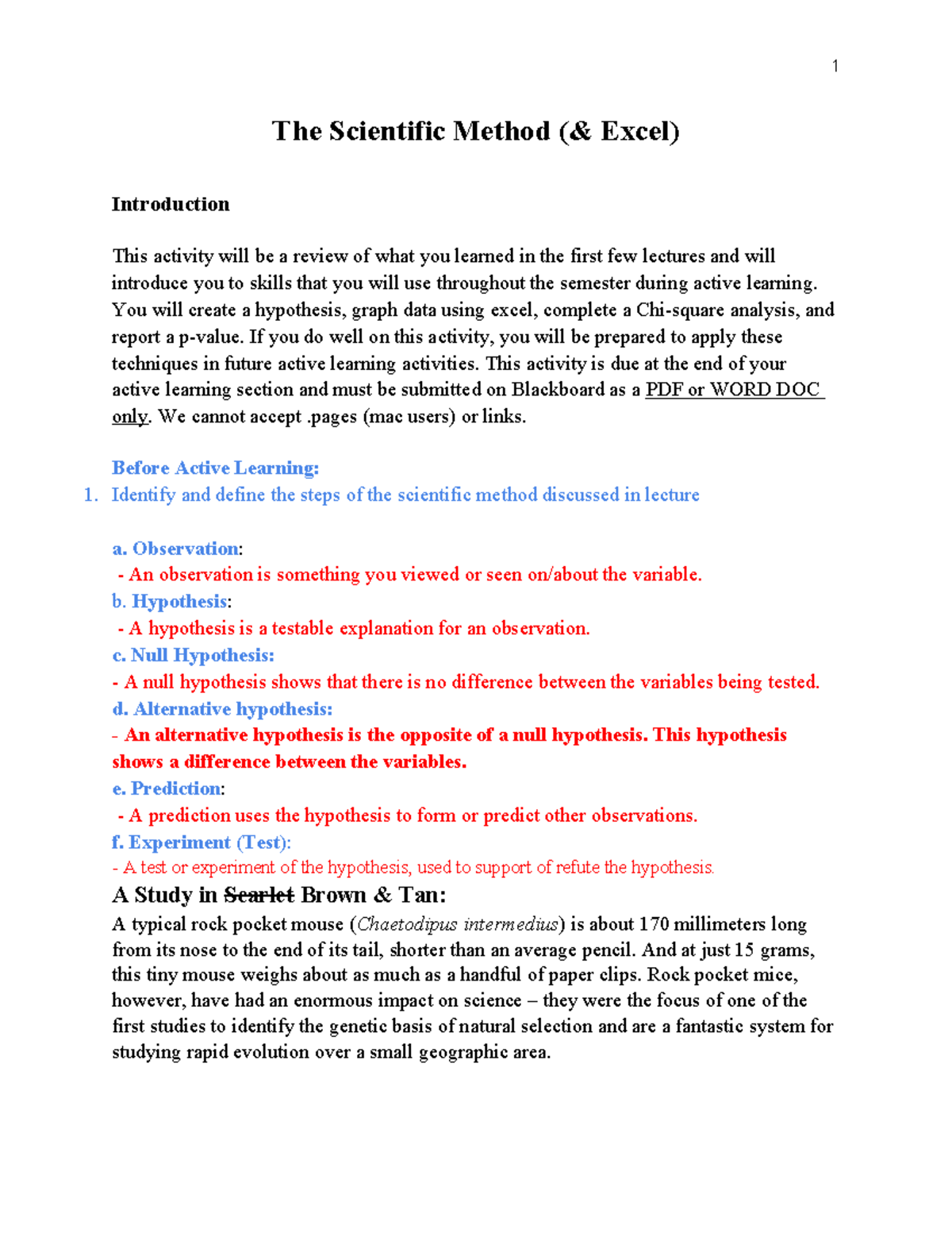 The Scientific Method - The Scientific Method (& Excel) Introduction ...