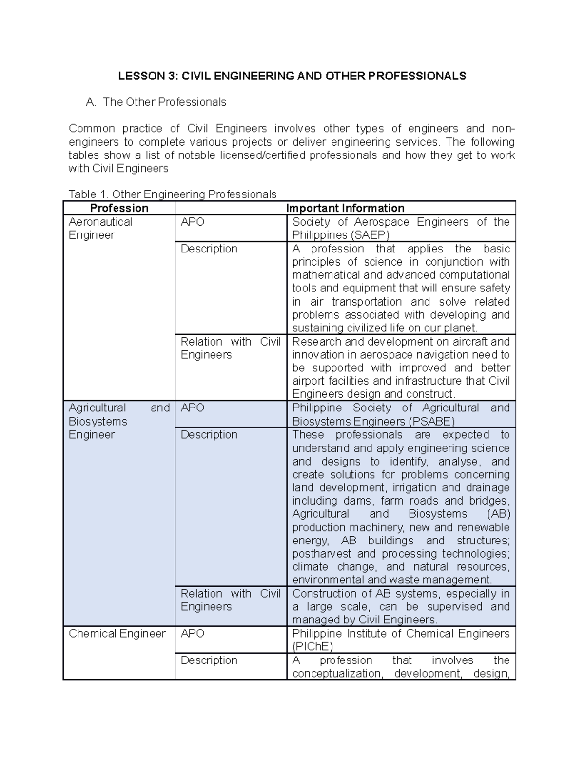 Lesson 3 Civil Engineering AND Other Professionals 1993073876 - LESSON ...