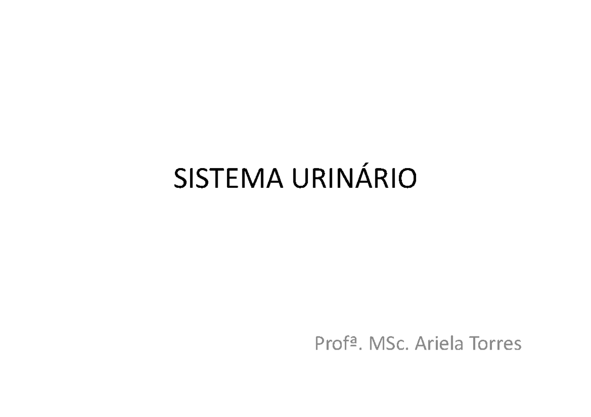 sistema urin Ã¡rio e genital PDF - SISTEMA URINÁRIO Profª. MSc. Ariela Torres Sistema urinário ...