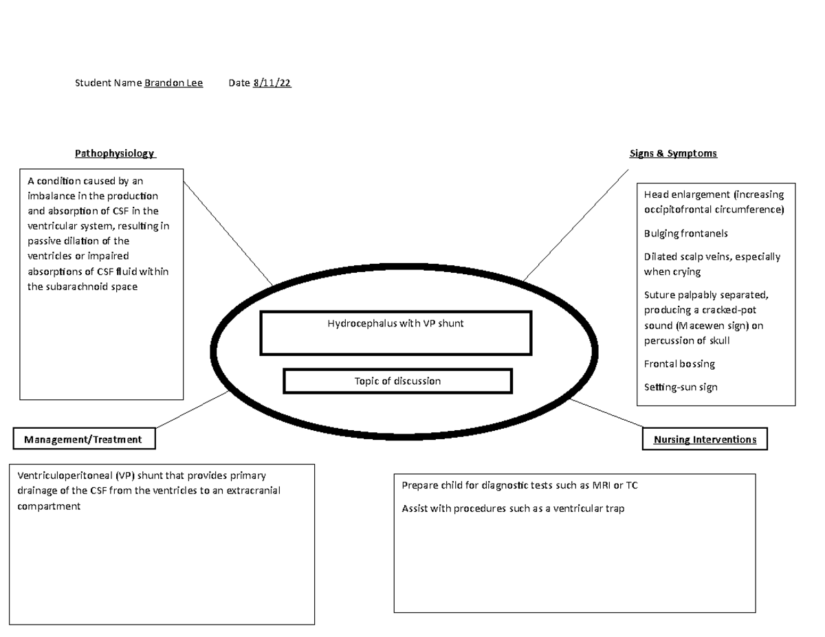 Hydrocephalus with VP shunt Brain Bubble - Student Name Brandon Lee ...