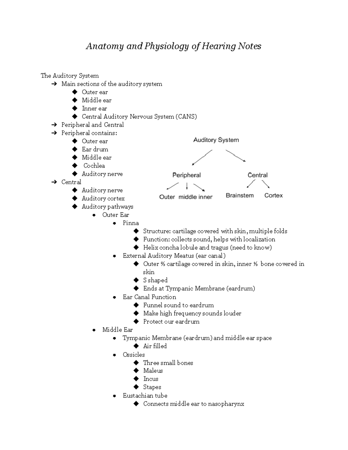 More Anatomy and Physiology of Hearing Notes - Anatomy and Physiology ...
