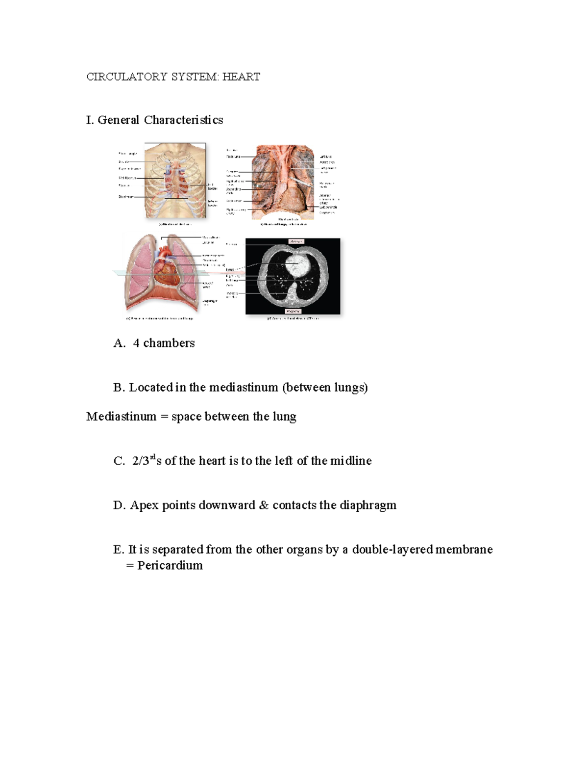 BIO225-2 - N/A - CIRCULATORY SYSTEM: HEART I. General Characteristics A ...