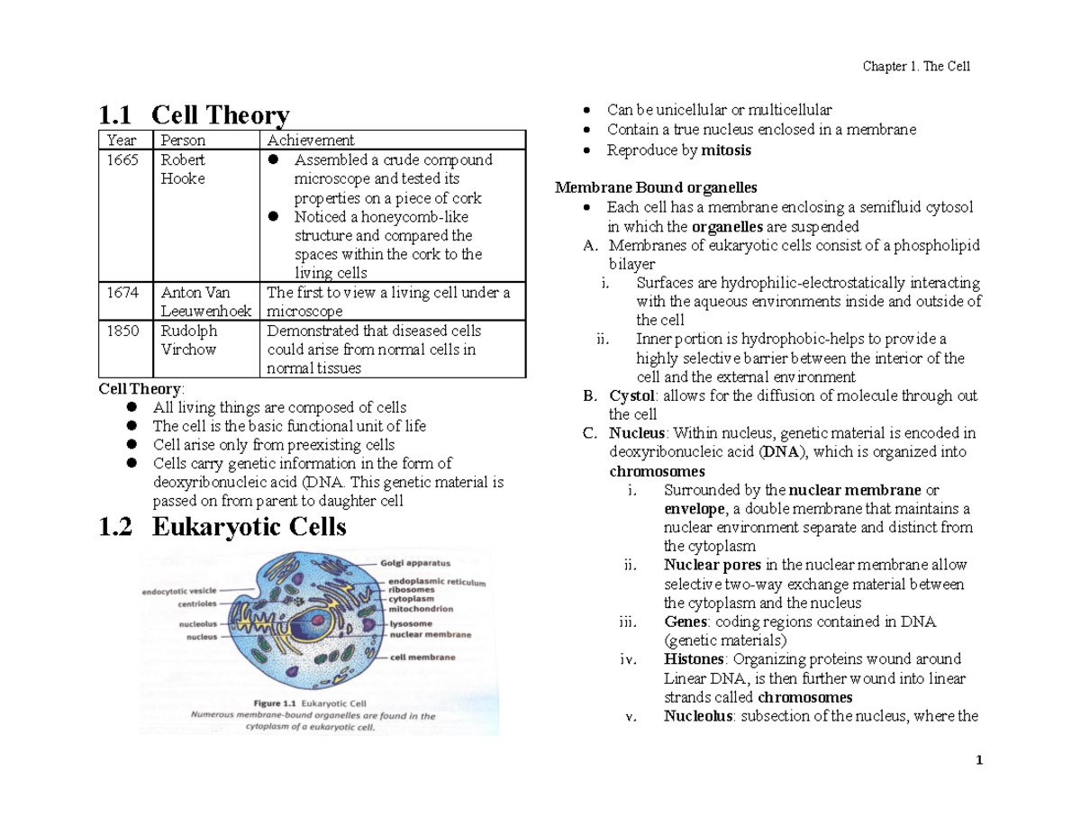 Bio 1 - Note - 1 Cell Theory Year Person Achievement 1665 Robert Hooke ...