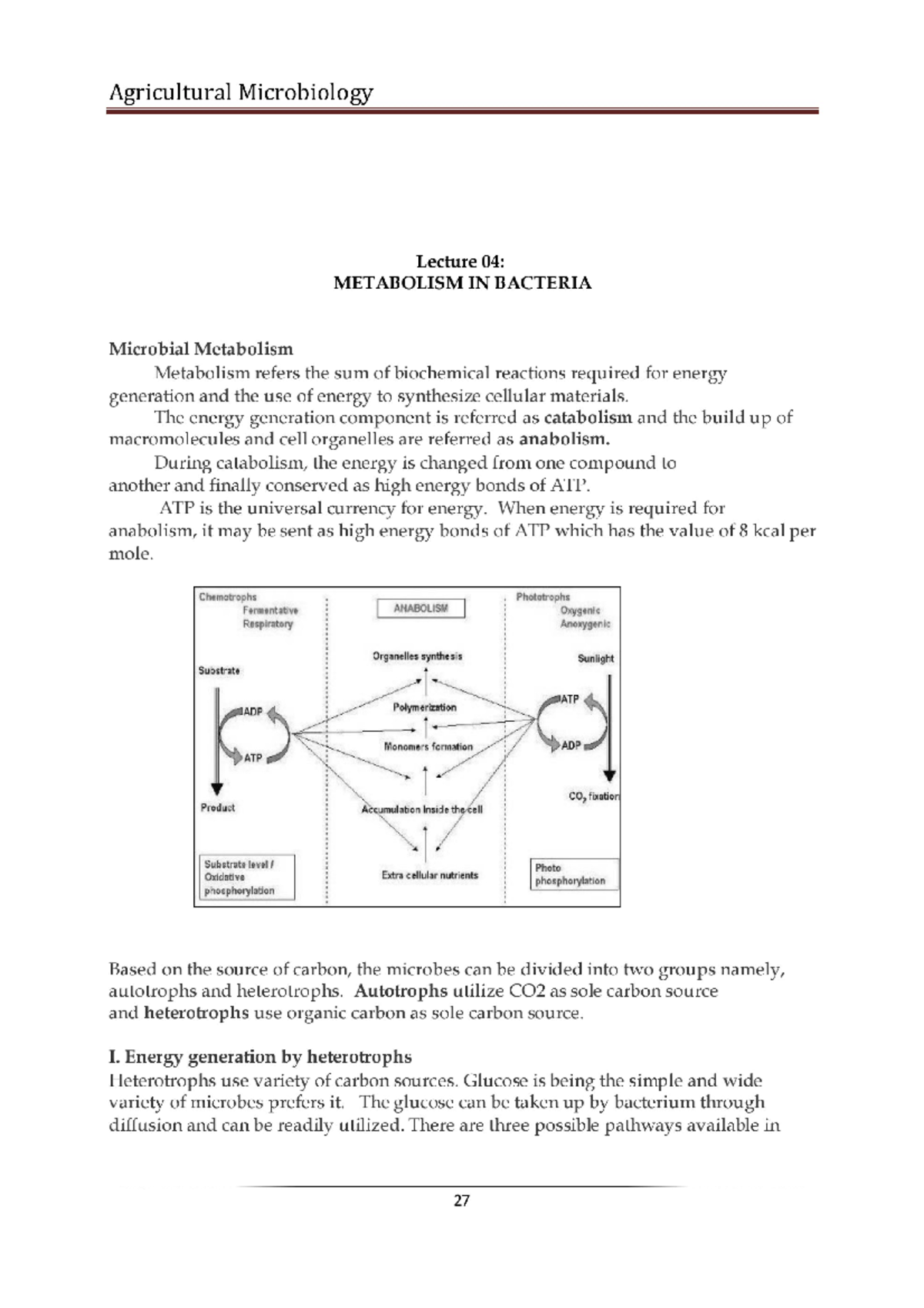 Microbiology notes (part 2) - Studocu